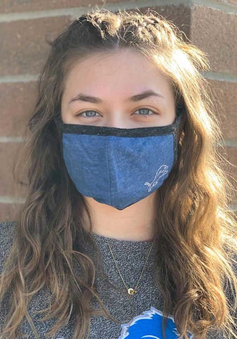 Detroit Lions Team Color Fan Mask