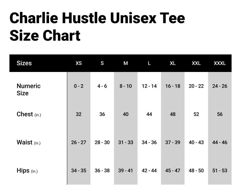 Charlie Hustle Iowa Hawkeyes BLACK Arch Script Mascot Short Sleeve ...