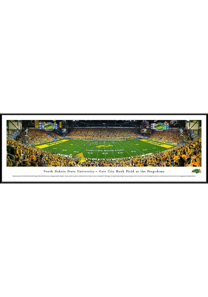 Blakeway Panoramas North Dakota State Bison BLACK 50 Yard Line Standard ...