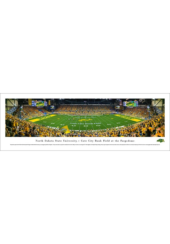 Blakeway Panoramas North Dakota State Bison WHITE 50 Yard Line Unframed ...