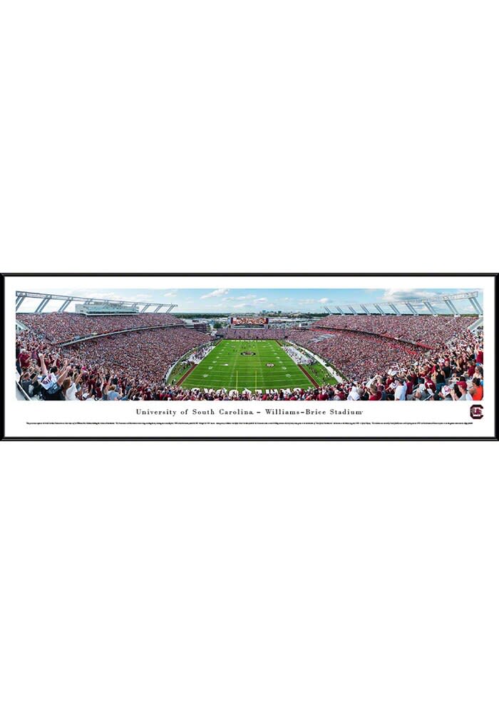 Blakeway Panoramas South Carolina Gamecocks BLACK End Zone Standard ...