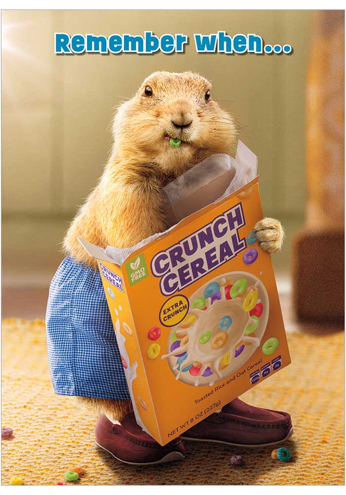 Local Gear White GROUNDHOG CEREAL BOX Card - 1936707