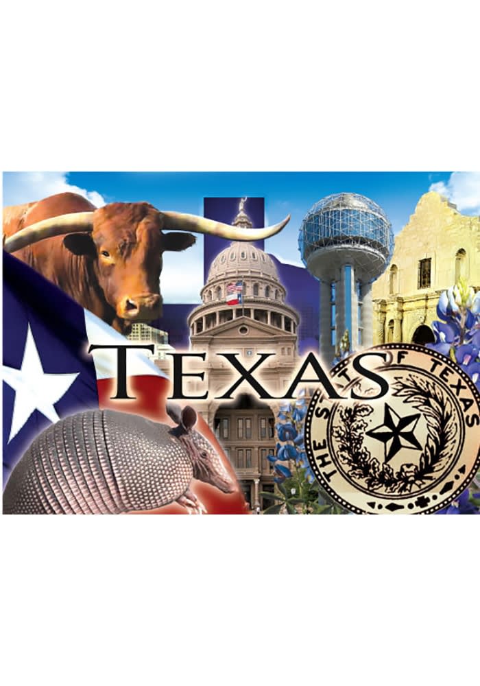 Texas BLUE Symbols Magnet - 26950061