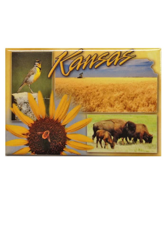 Kansas BLUE Symbols Magnet - 3350044