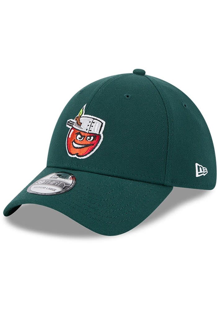 Fort Wayne TinCaps Mens Authentic Collection 39THIRTY GREEN New Era ...