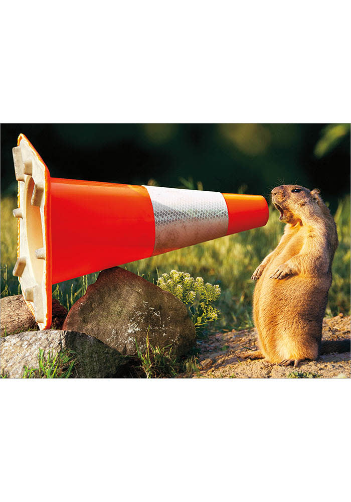 Local Gear White GROUNDHOG CONSTRUCTION CONE Card - 61752499