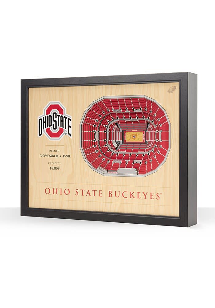 Ohio State Buckeyes 3D Stadium View Wall Art - BLACK
