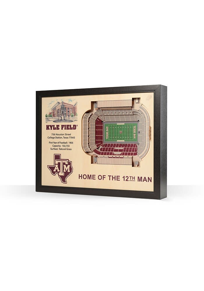Texas A&M Aggies MAROON 3D Stadium View Wall Art - 68690229