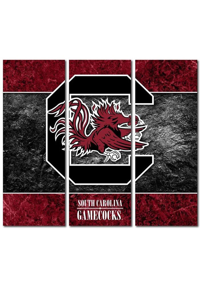 South Carolina Gamecocks 3 Piece Border Canvas Wall Art